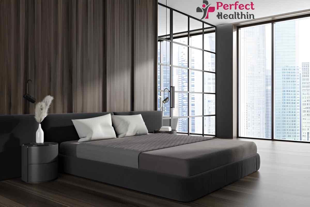 The Sleep Company Ex – Your Ultimate Sleeping Partner